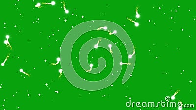 Magic Fireflies with Green Screen Background Stock Footage - Video of ...