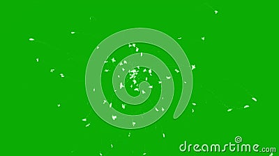 Magic Fireflies with Green Screen Background Stock Footage - Video of ...