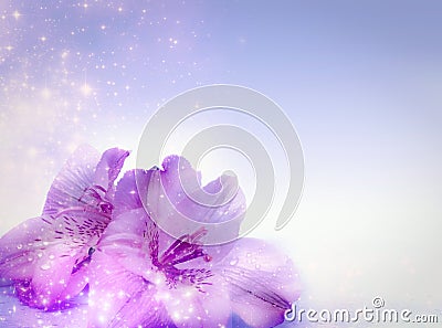 Original Magic by Stephen E. Flowers - plmfunding