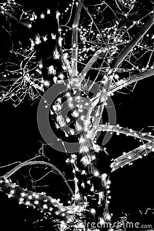 Magical Tree Black And White Royalty-Free Stock Image | CartoonDealer ...