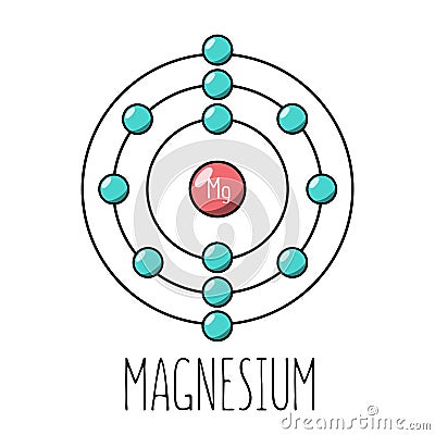 Magnesium Atom Bohr Model Cartoon Vector | CartoonDealer.com #267662111