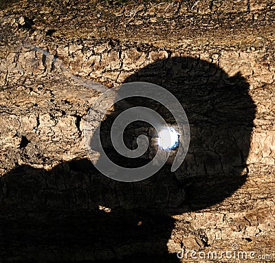 Magnifying Glass Starting Fire Stock Photo - Image: 42474640