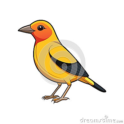 Majestic Common Iora Artwork Stock Photography | CartoonDealer.com ...