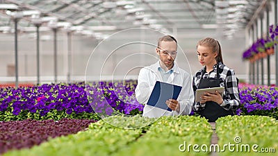 Male Agricultural Engineer and Professional Female Farmer Analyzing ...