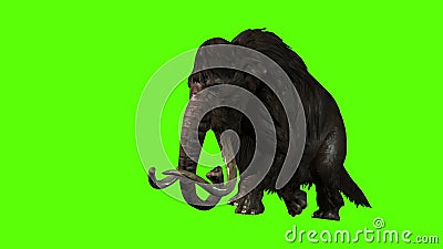 Mammoth Attacks Side on Green Screen Stock Footage - Video of animation ...