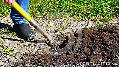 Man backfilled ground stock footage. Video of backfilled - 40917786