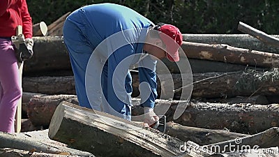 Man with Chainsaw Tool Cutting Log on Floor Stock Video - Video of ...