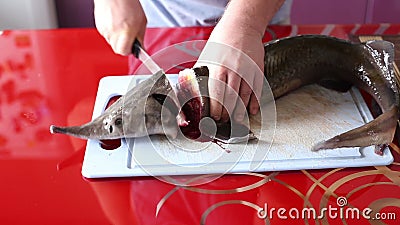 The Man Cut Up the Fish Sturgeon Stock Footage - Video of fish, baking ...