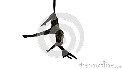 Man Dancer on Aerial Silk, Aerial Contortion Stock Video - Video of ...