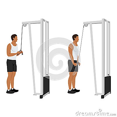 Man Doing Cable Tricep Pull Down Exercise. Flat Vector Stock ...