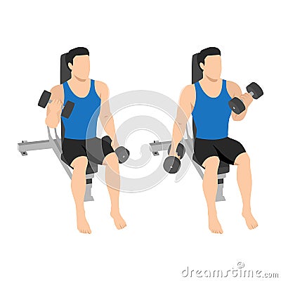 Man Doing Seated Alternating Bicep Twist Curl Exercise Cartoon Vector ...