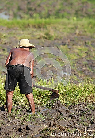 Man Farming Editorial Photo | CartoonDealer.com #41190825