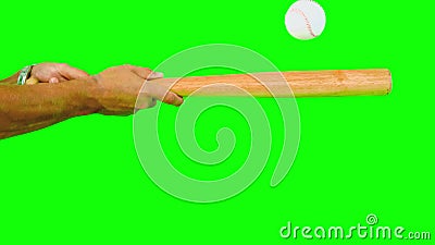 Bat Green Screen Stock Footage & Videos - 161 Stock Videos