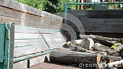 Man load log wood trailer stock footage. Video of load - 36278877
