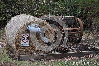 Diving In Head First Into Hay Bale Royalty Free Stock Images - Image ...