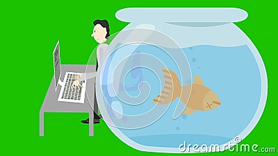 Man Typing on a Computer and a Dead Fish in a Fish Tank on a Green ...