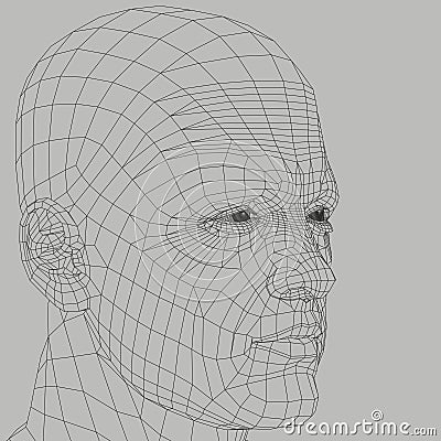 Man Wireframe Illustration Royalty Free Stock Image - Image: 38116586