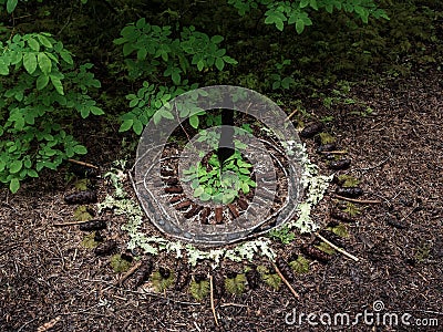 Mandala In The Forest Stock Photo - Image: 56828323