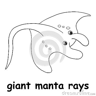 Kids Line Illustration Coloring Giant Manta Rays. Outline Vector For ...