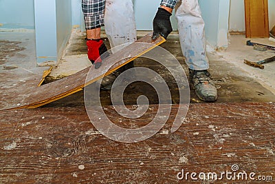 Manual Worker Disassembling Old Floor Laminated Parquet Stock Photo ...