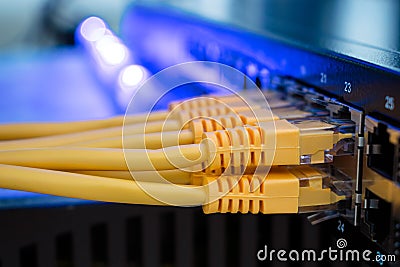 Many Yellow Internet Wires Connect To The Network Switch In The Server ...