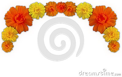Marigolds Border Royalty Free Stock Photography - Image: 12785507
