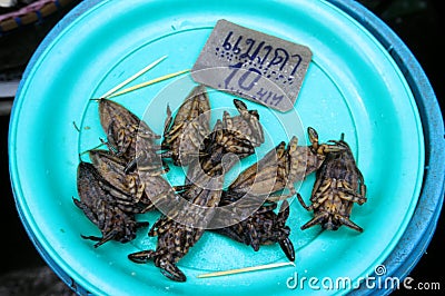 Edible Giant Water Bugs (Thailand) Editorial Photo - Image: 32747936