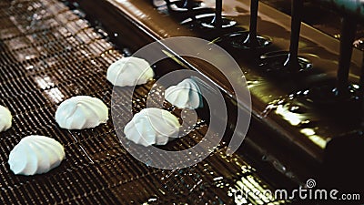 Marshmallow Factory Process Making Chocolate Stock Video - Video of ...