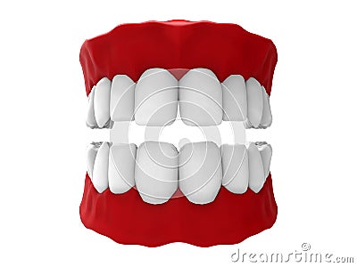 Maxillary Dentition Illustration Royalty-Free Cartoon | CartoonDealer ...