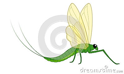 Mayfly Insect Prohibited Sign Stock Vector - Illustration of ...