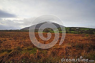 Mayo Landscape Royalty-Free Stock Image | CartoonDealer.com #7870468