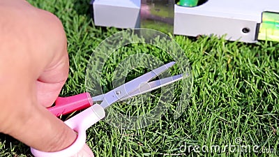 Measuring Grass with Ruler and Cutting it Perfectly with Small Scissors ...