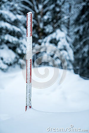Measuring The Snow Depth With Ruler Royalty-Free Stock Image ...