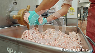 Meat Mincing Machine Grinding Meat in Meat Processing Plant. Stock ...