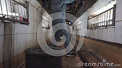 A Mechanic Fixes a Car in the Pit Stock Video - Video of steel ...