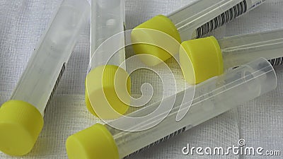 Medical Sample Tubes with Colorful Caps for Different Tests Isolated ...
