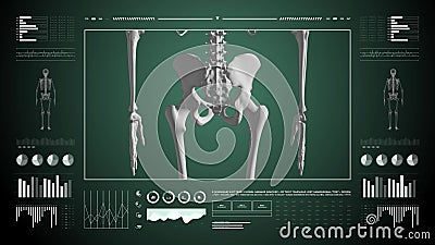 Human Body Skeleton Study on Diagnostic Computer Display Stock Footage ...