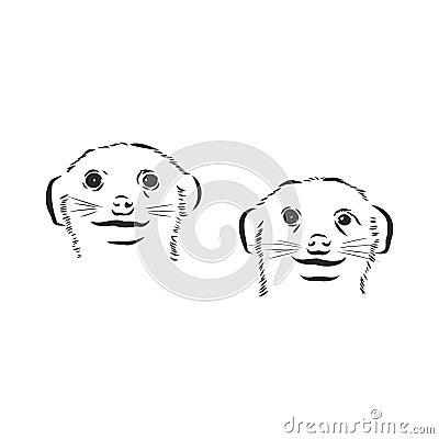 Meerkat Icon. Animal Sign, Meerkat Animal, Vector Sketch Illustration ...