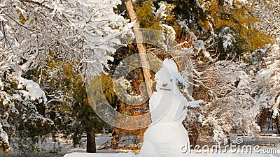 Melting snowman in the sun stock footage. Video of marsh - 105701688