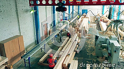 Men Stack Timber in Facility. Stock Footage - Video of processing ...