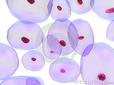 Menselijke Cellen Stock Fotografie - Afbeelding: 8173872