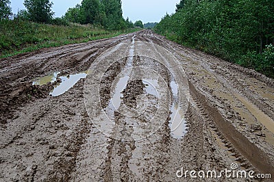 Messy Rural Dirt Road After Rain Stock Photo - Image: 49607602