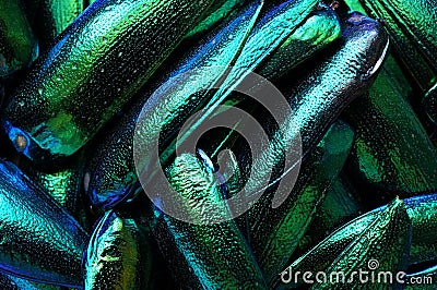 Metallic Wings Texture Royalty-Free Stock Photo | CartoonDealer.com ...