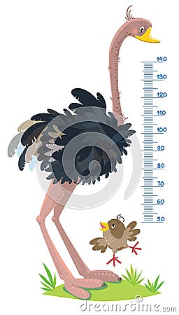 Meter Wall With Funny Sparrow And Ostrich Vector Illustration ...