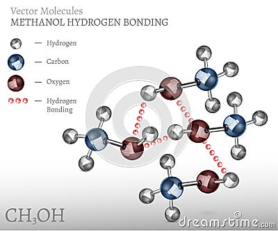 Methanol Molecule Bonding Cartoon Vector | CartoonDealer.com #84765135