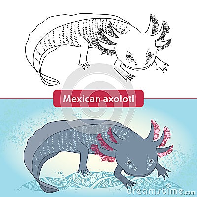 Mexicanum Axolotl Before Transformation. Ambystoma Tigrinum. Cartoon ...