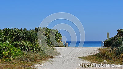 Miami Beach scene 4k stock video. Video of sand, 1080p - 48242603