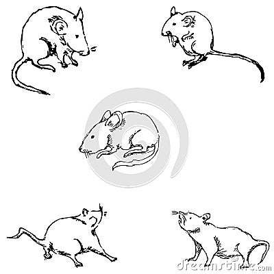 Mice. A Sketch By Hand. Pencil Drawing Vector Illustration ...