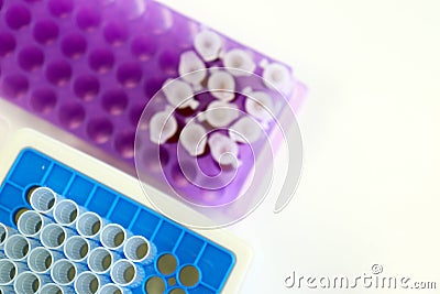 Micro Centrifuge Tube With Blood Sample In Solution, For Testing Anti ...