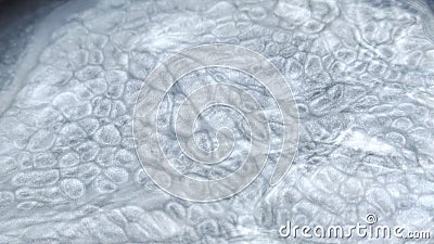 Micro View of a Chemical Reaction Under a Microscope with Bubbles Stock ...